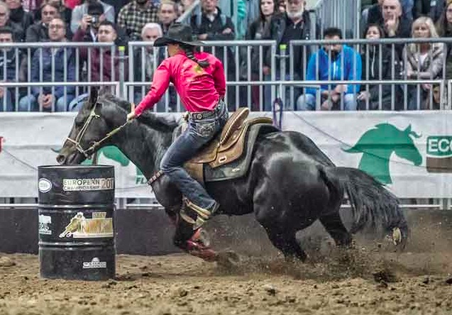 CAVALLI AMERICANI A REGGIO EMILIA - Guida del Cavaliere